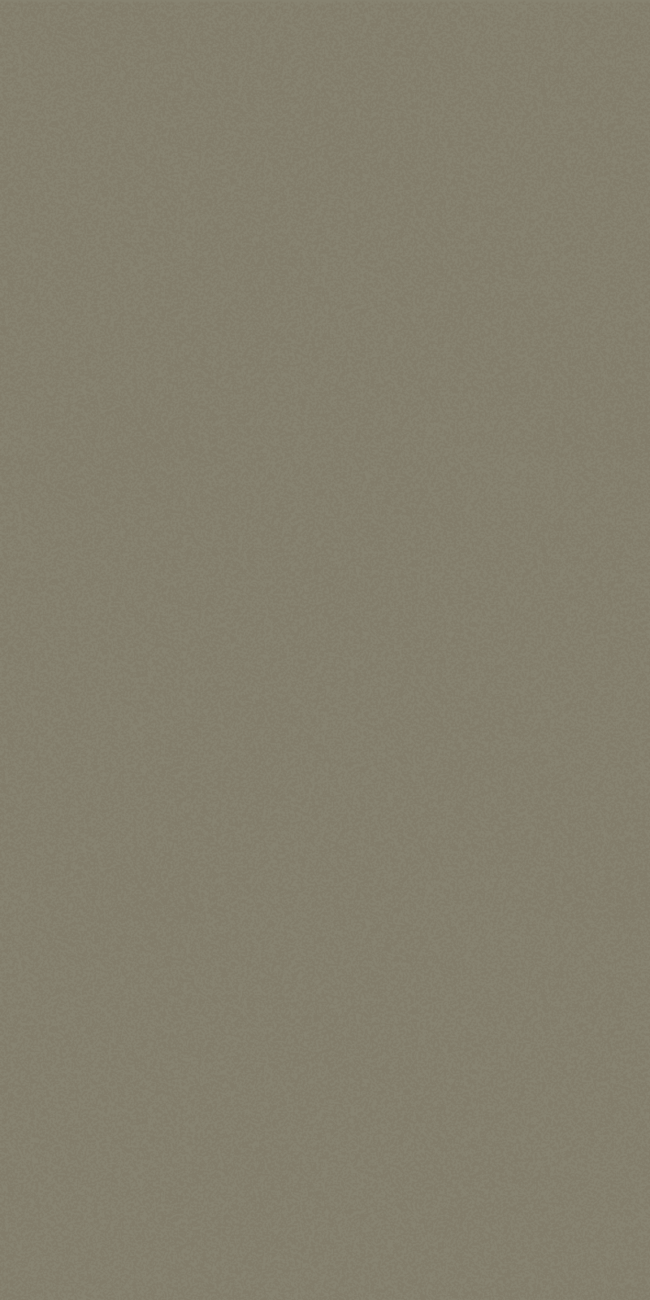 GOLD PEARL MATT | NX by Urban Republic