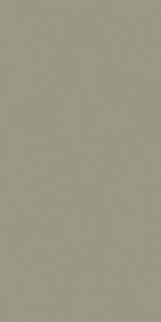 METALLIC GOLD | NX by Urban Republic