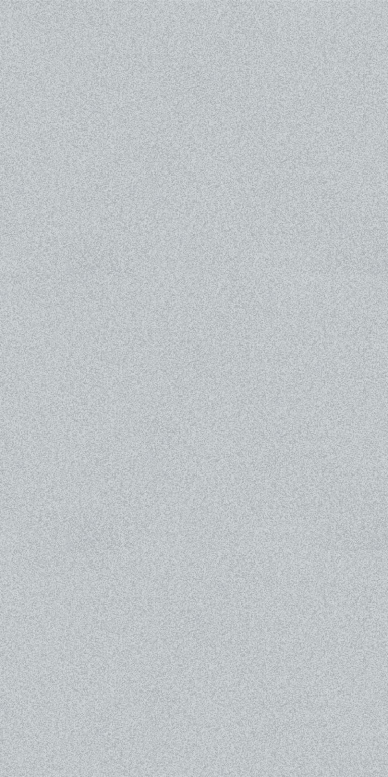 METALLIC SILVER MATT | NX by Urban Republic