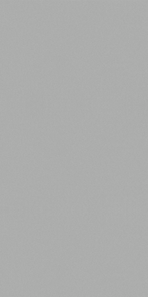 METALLIC SILVER | NX by Urban Republic