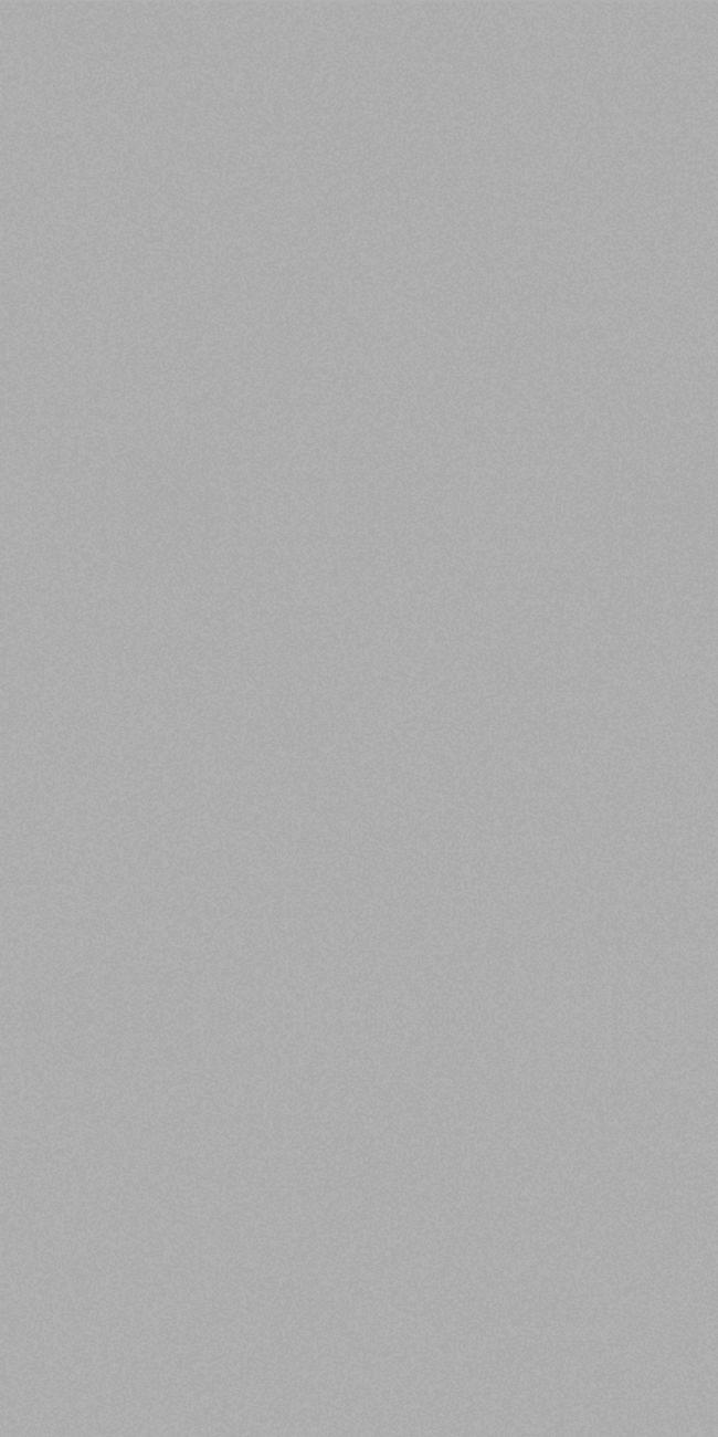 METALLIC SILVER | NX by Urban Republic
