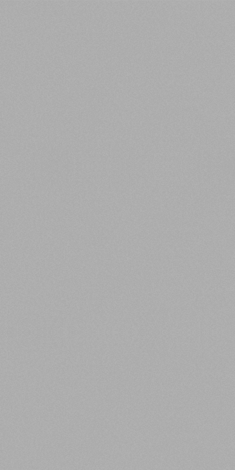 METALLIC SILVER | NX by Urban Republic