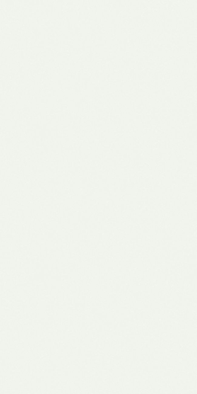 METALLIC WHITE MATT | NX by Urban Republic
