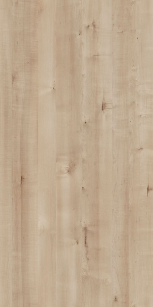 BROWN BIRCH | NX by Urban Republic