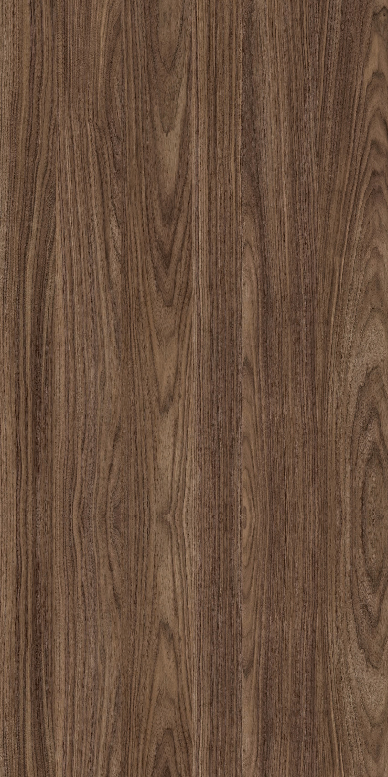 COCOA WALNUT | NX by Urban Republic