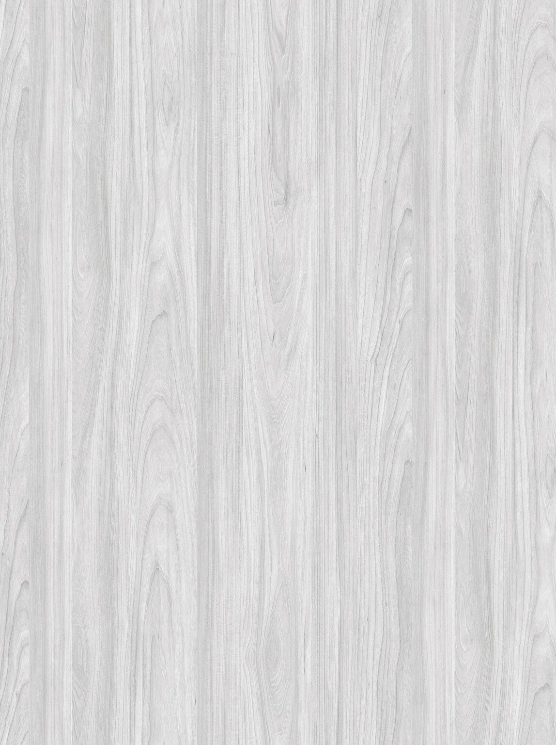 SWISS ELM LIGHT | NX by Urban Republic