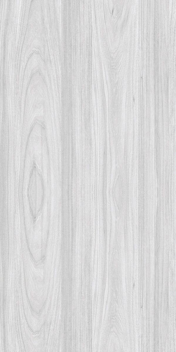 SWISS ELM LIGHT | NX by Urban Republic