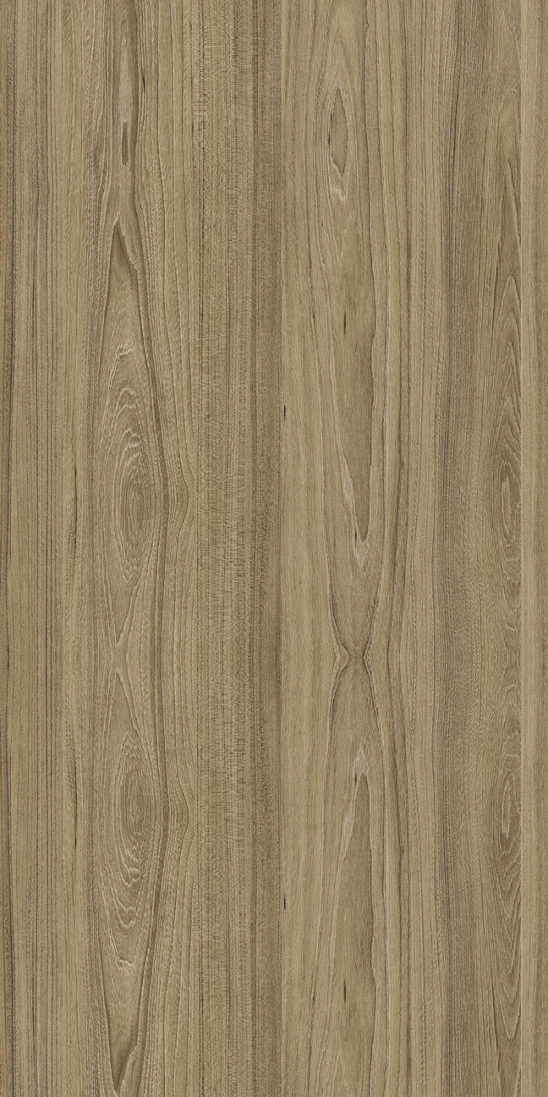 SWISS ELM WARM | NX by Urban Republic